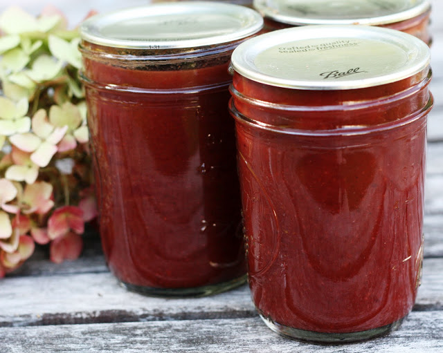 Homemade Ketchup Recipe
